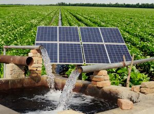 Solar Panel - Madrass International